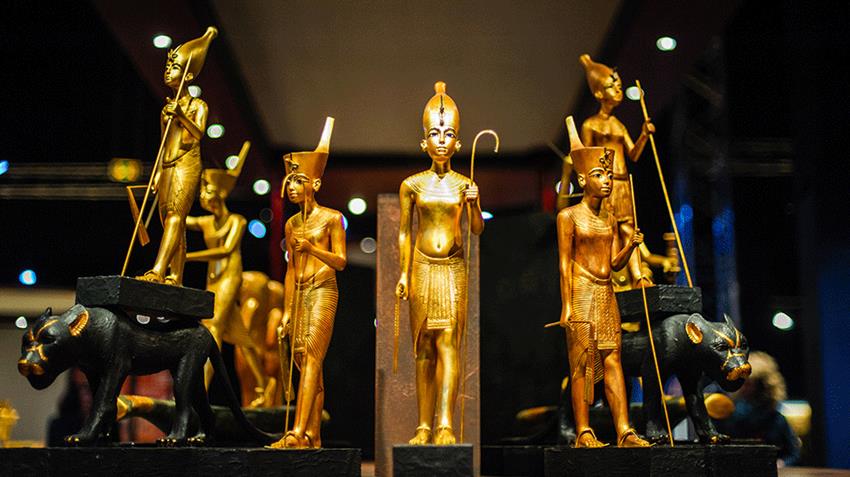 Why You Can’t Miss Egypt This November: A Personal Invitation from ...